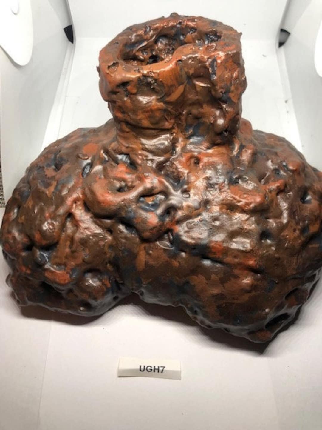 Underground Hides for Terrariums for Reptiles, Amphibians, and ...