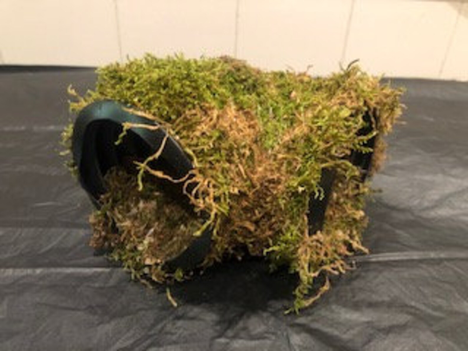 Corrugated Reptile Hides for Arboreal, Terrestrial, Underground and ...