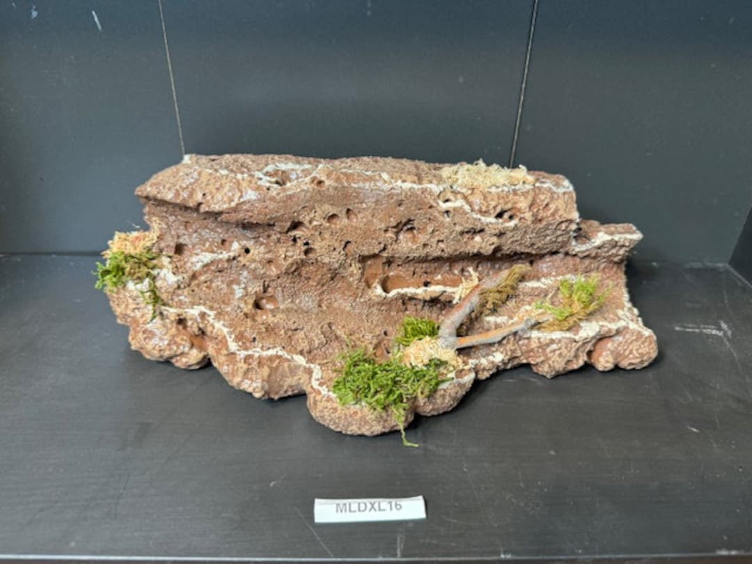 Extra Large Desert Magnetic Rock Ledge for Terrariums and Cages - Etsy