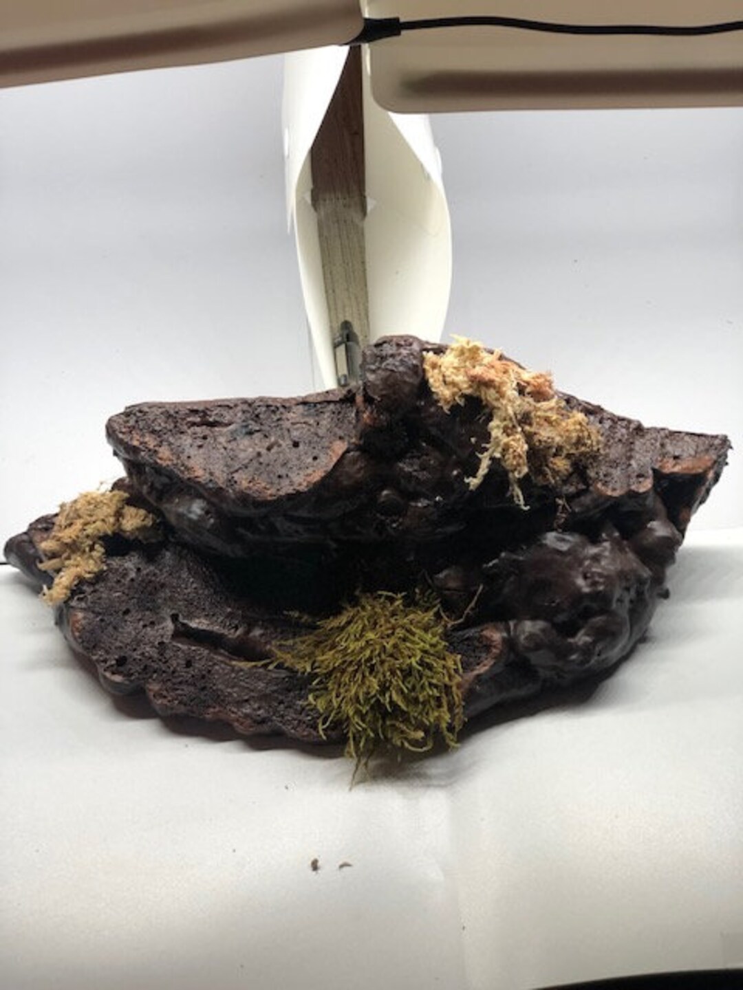 Xlarge Desert Reptile Magnetic Rock Ledges for Terrariums and Cages - Etsy