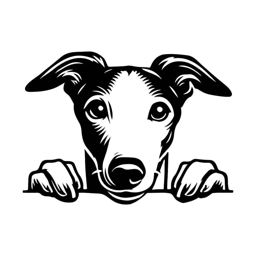 Whippet SVG - Peeking Whippet Black & White Vector File for Laser ...