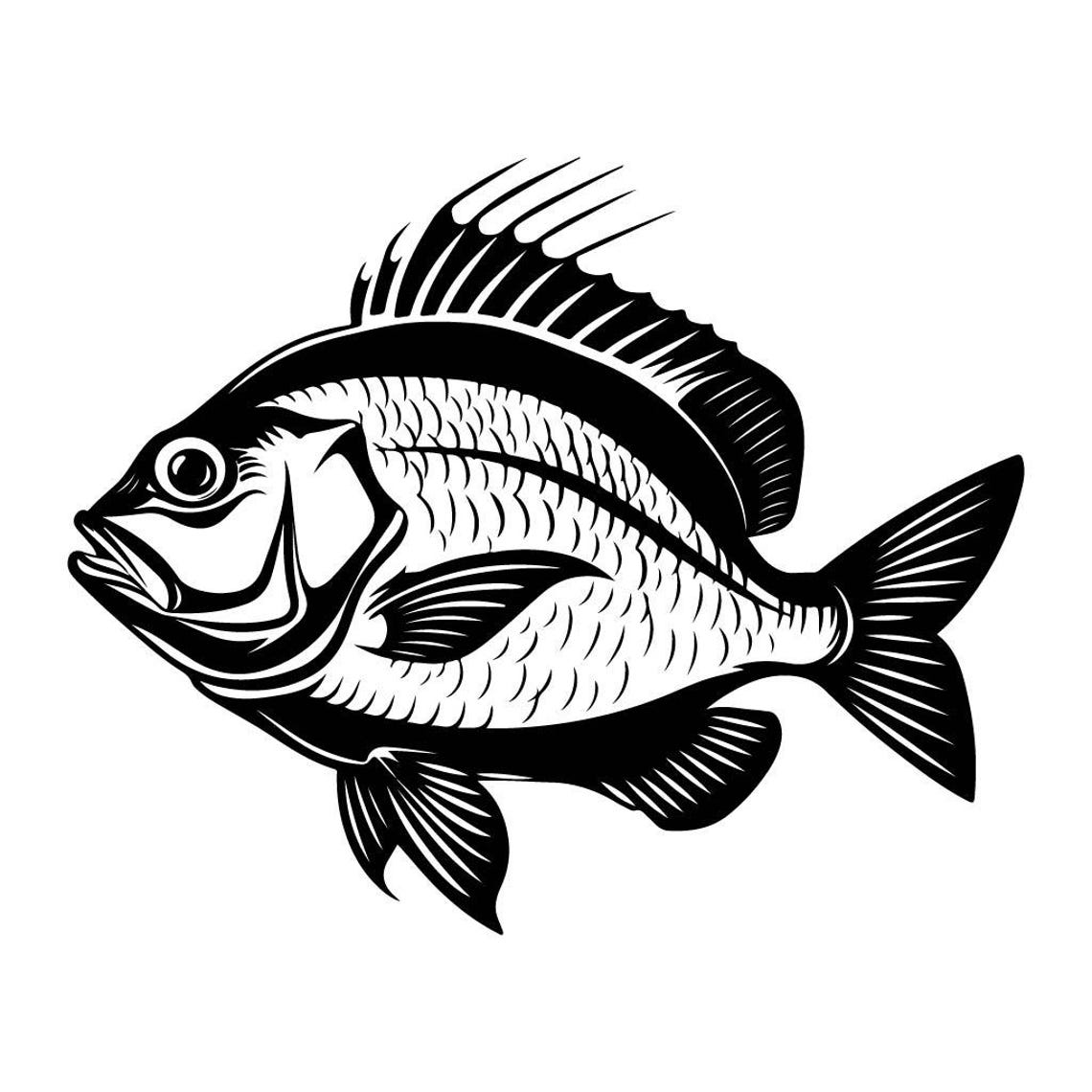 Bluegill Fish SVG | Fishing SVG | Black & White Vector File for Laser ...