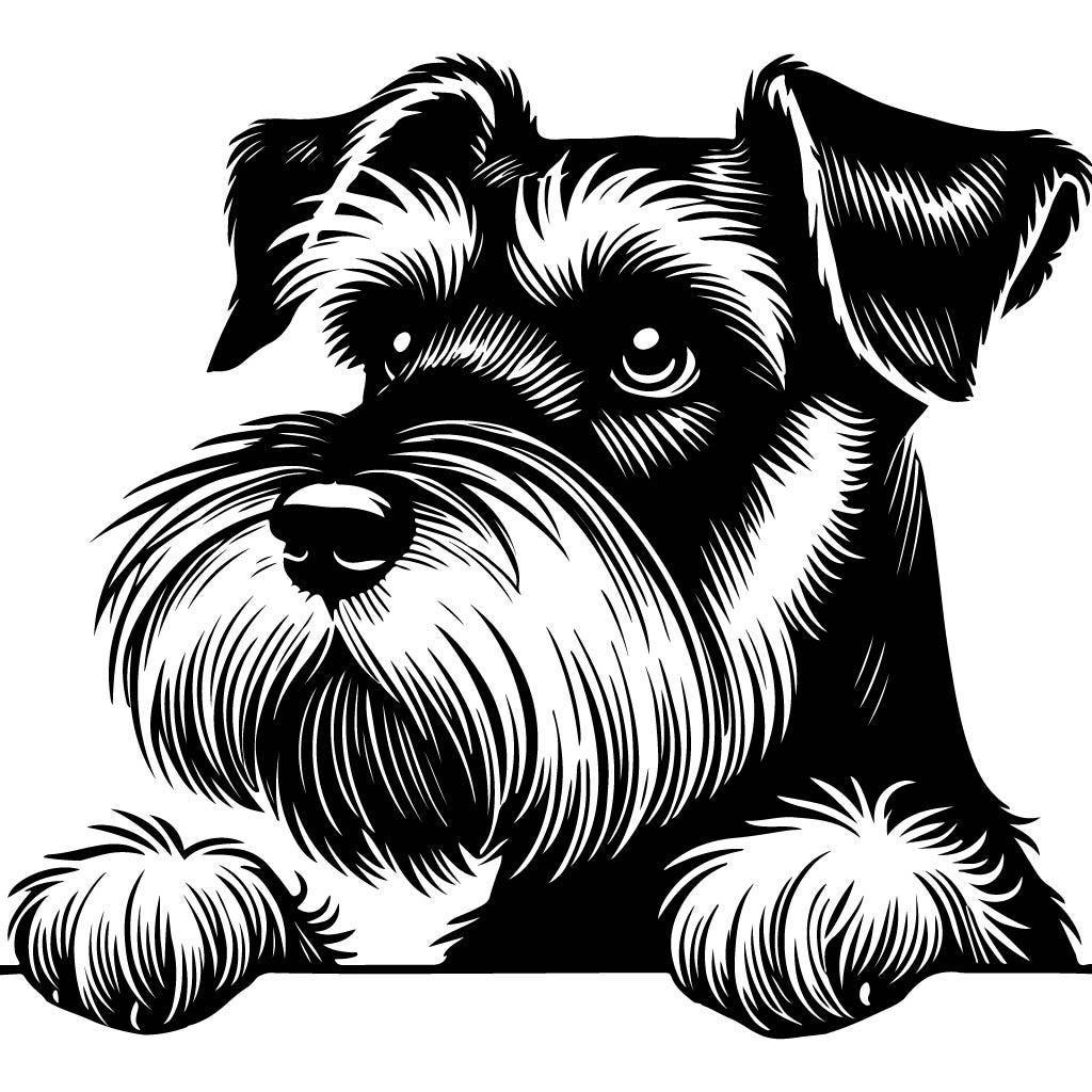 Schnauzer SVG - Peeking Schnauzer Black & White Vector File for Laser ...