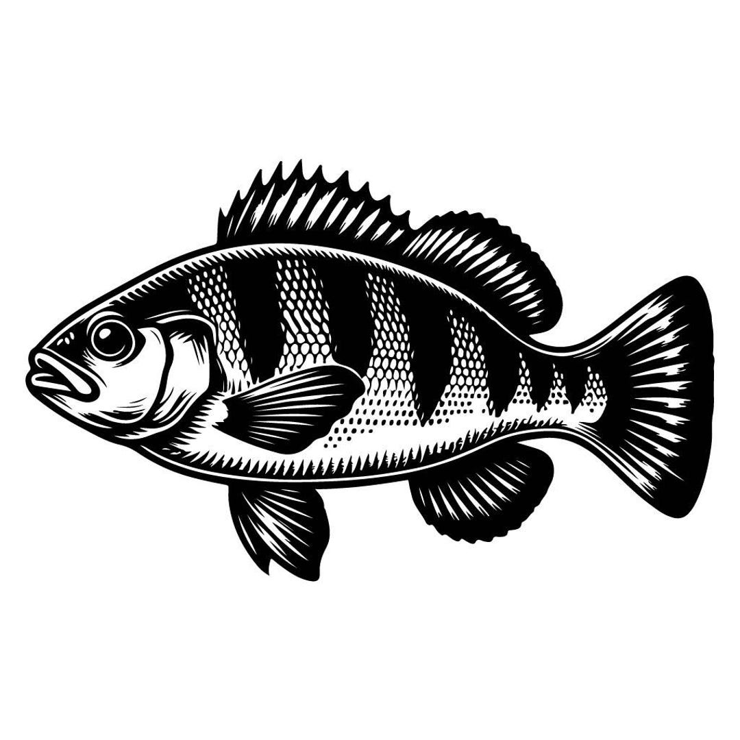 Yellow Perch Fish SVG 1 | Fishing SVG | Black & White Vector File for ...