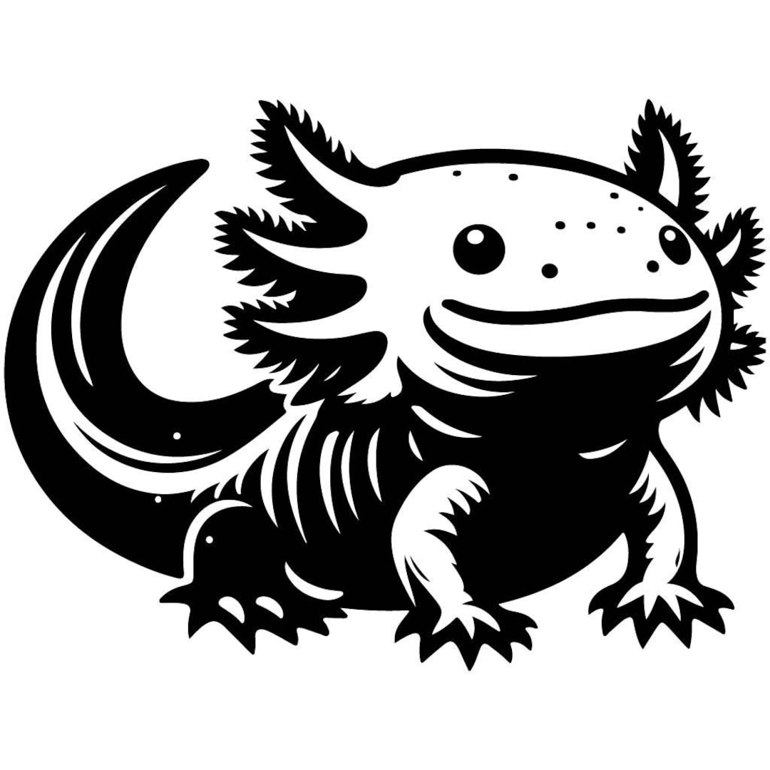 Axolotl SVG Black and White SVG Vector File for Laser Cutting 2 - Etsy