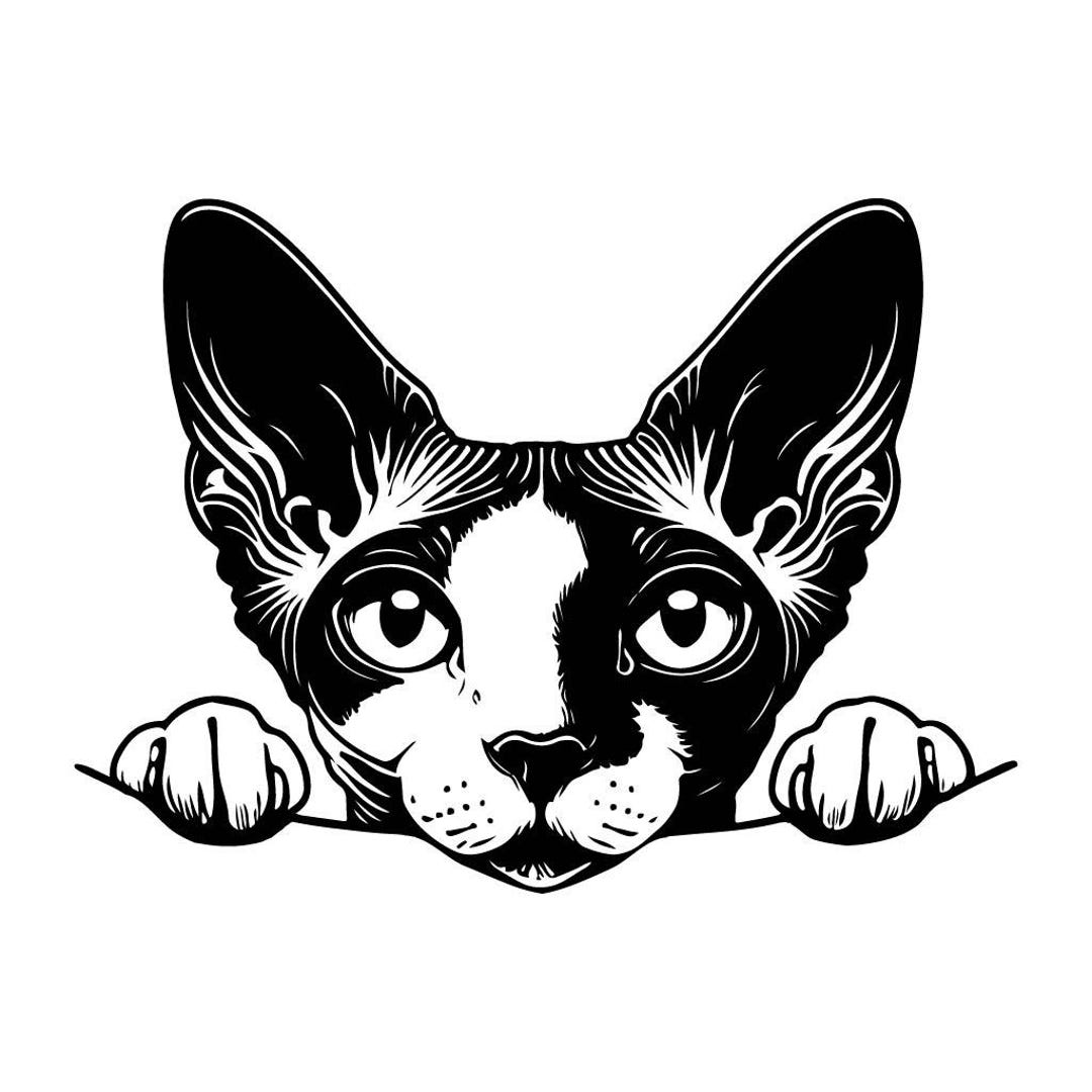 Peeking Cornish Rex Cat SVG 2 | Black & White Vector File for Laser ...