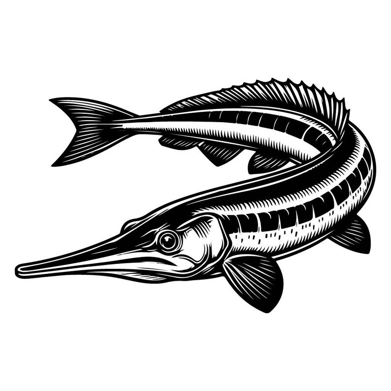 Longnose Gar Fish SVG | Fishing SVG | Black & White Vector File for ...