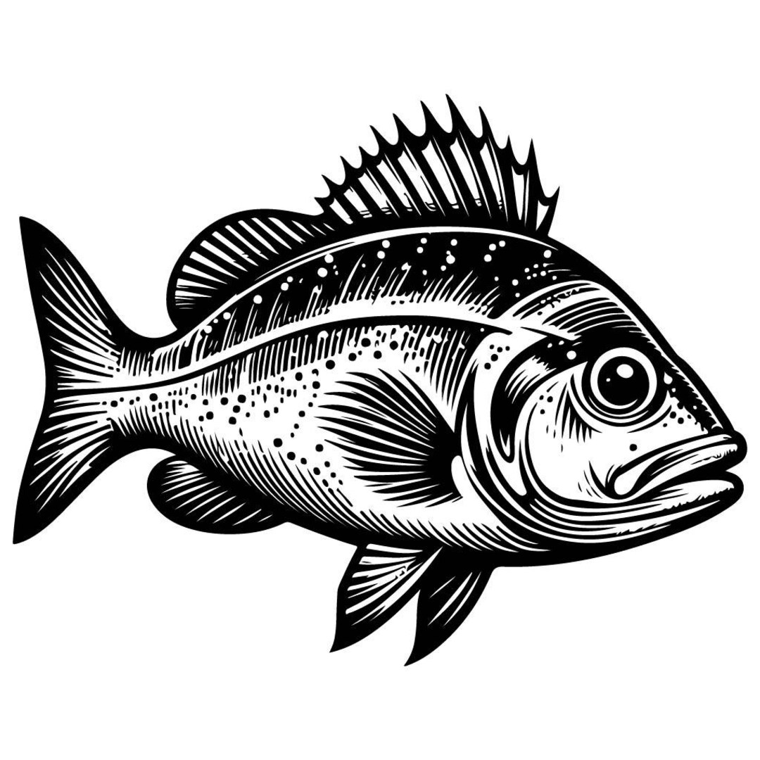 Red Snapper Fish SVG | Fishing SVG | Black & White Vector File for ...