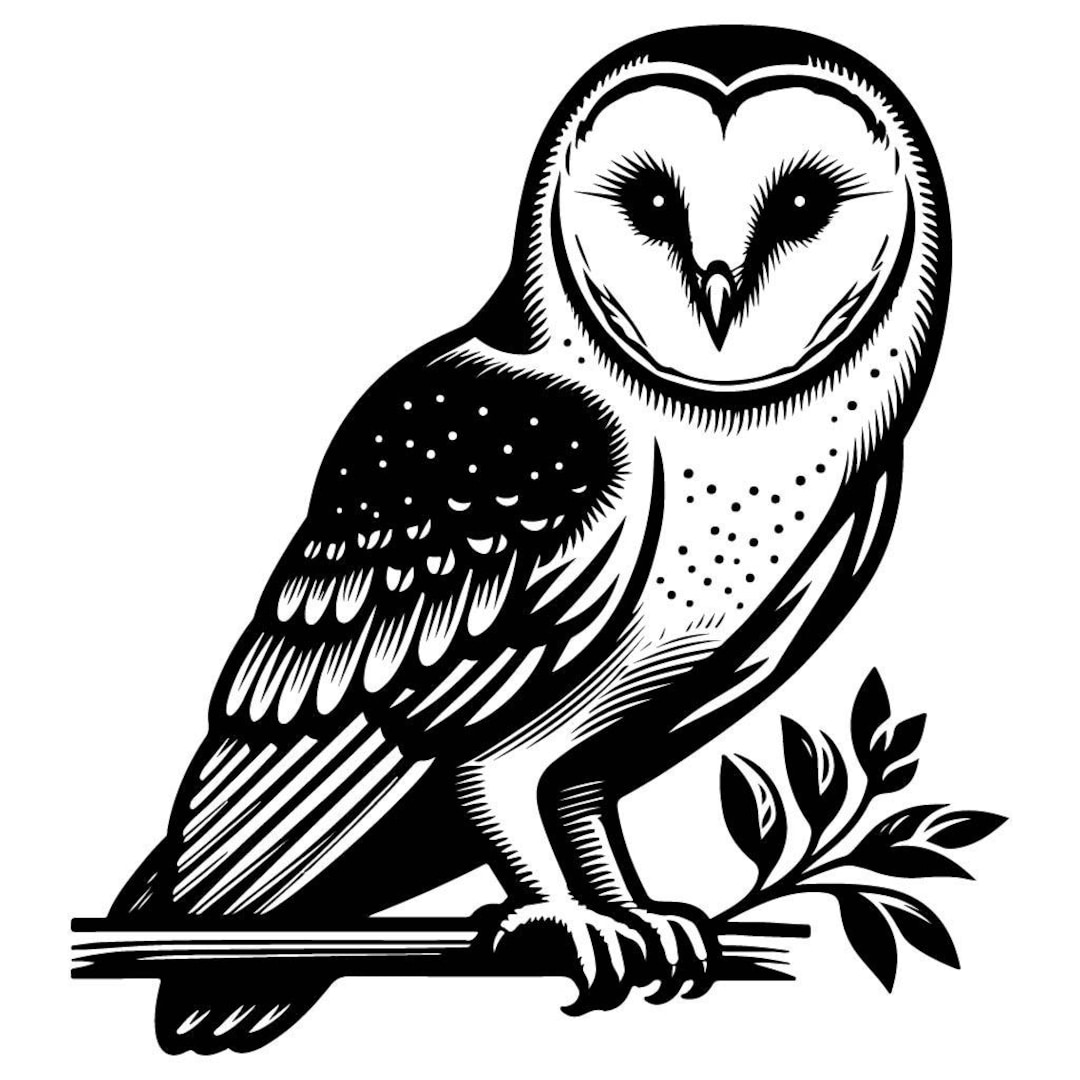 Barn Owl SVG Black and White SVG | Black & White Vector File for Laser ...