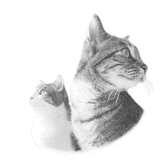 Realistic Kitten Drawings