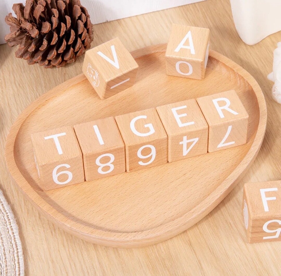 Wooden Blocks Letter Numbers Shapes Animals Educational Toy Next Day ...