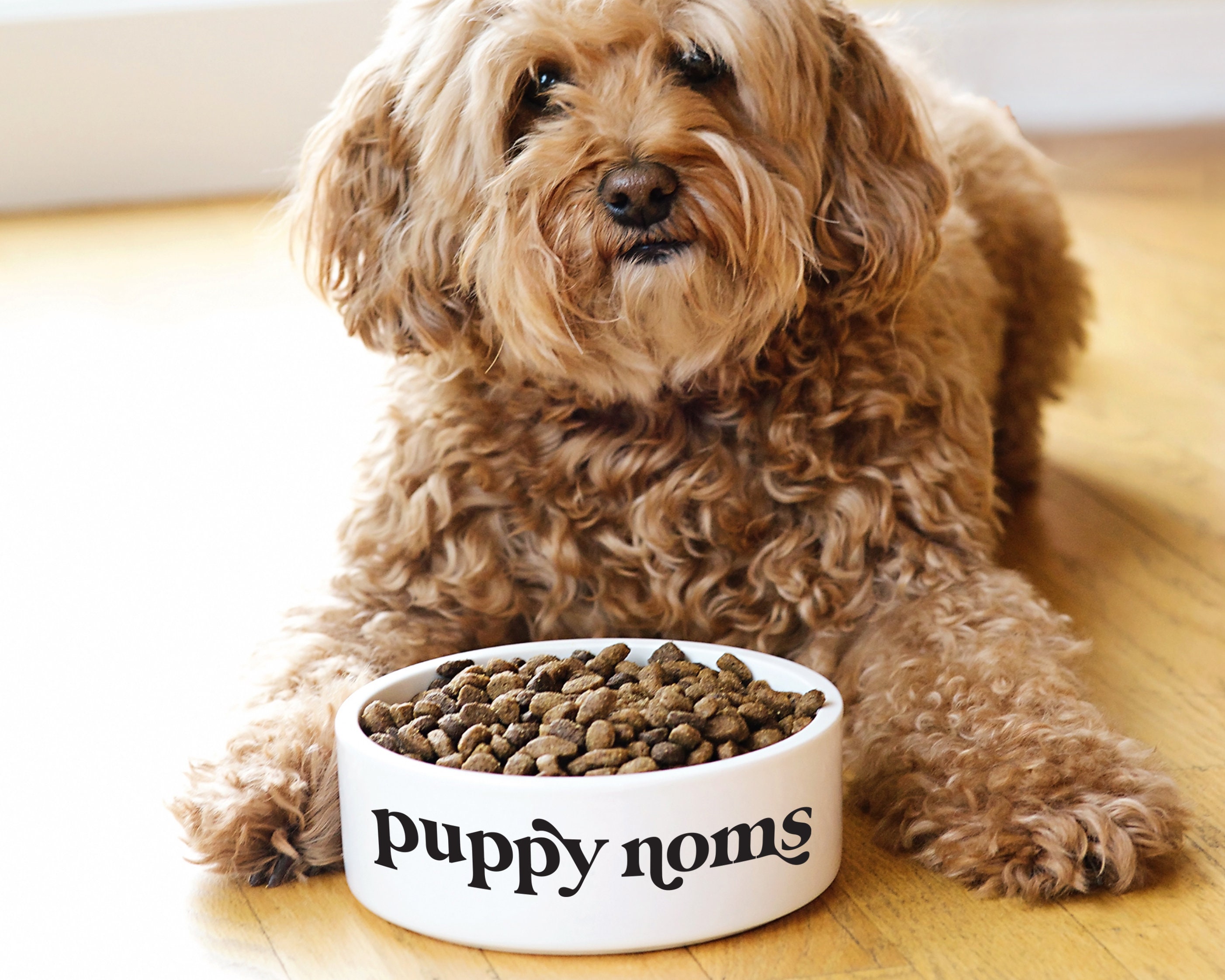 Puppy Noms Svg Dog Bowl Svg Dog Treat Svg Dog Biscuits | Etsy