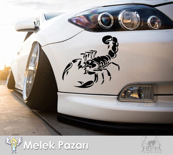 2 Pcs. Scorpion Car Sticker - Etsy