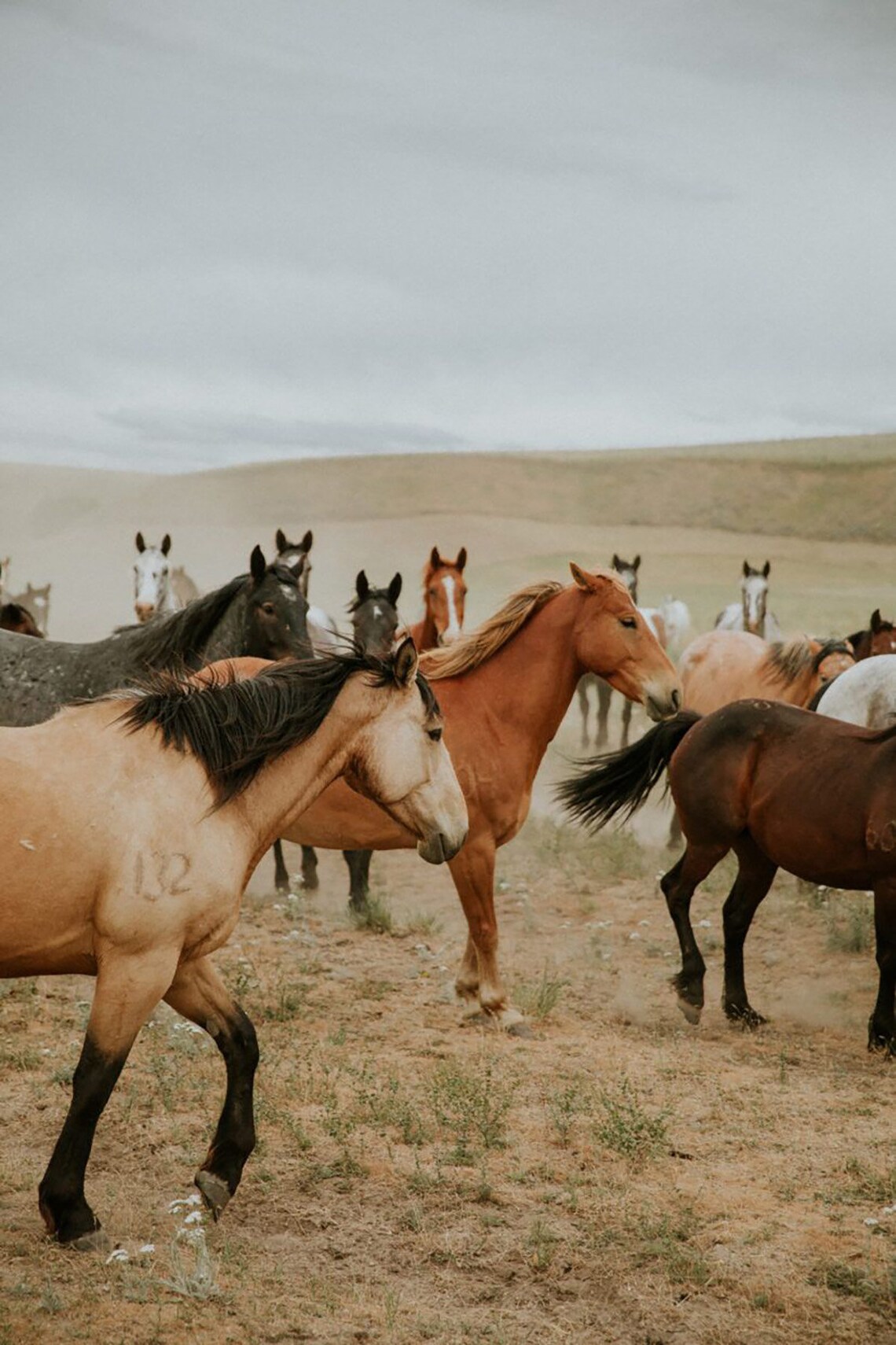Cowboy Western Aesthetic Wall Collage Western Wall Collage - Etsy