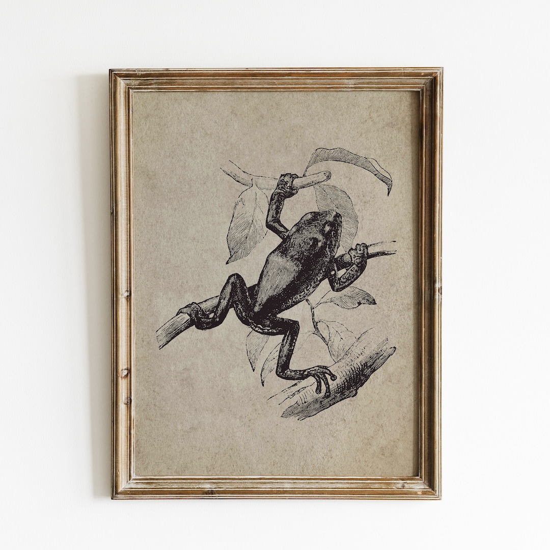 Frog Wall Art, Vintage Animal Prints, Frog Decor, Frog Printable ...