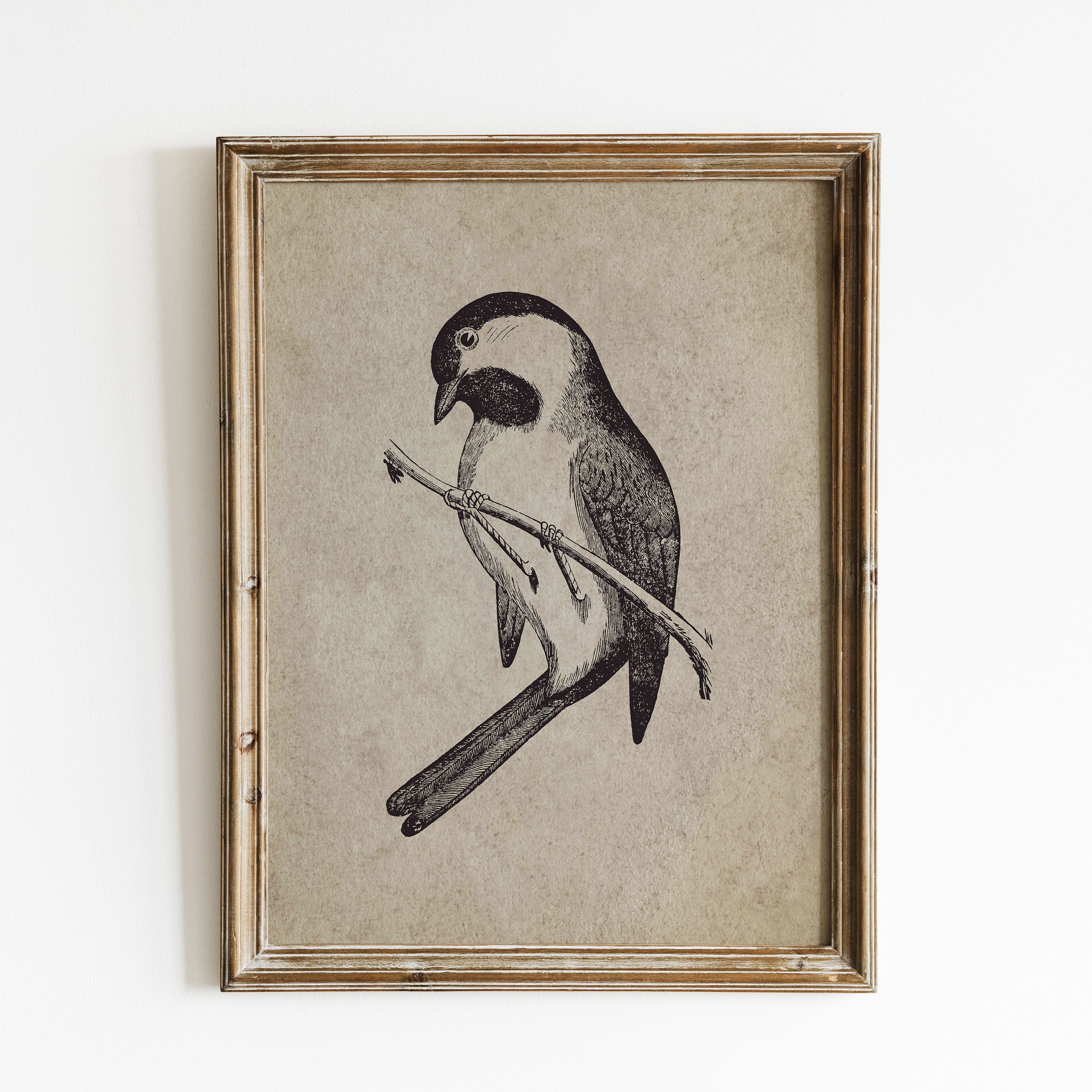 Chickadee Painting, Bird Prints Wall Art, Chickadee Wall Art, Vintage ...