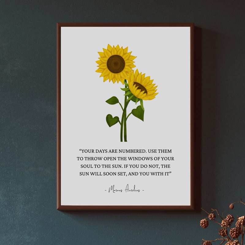 Philosophy Poster - Etsy