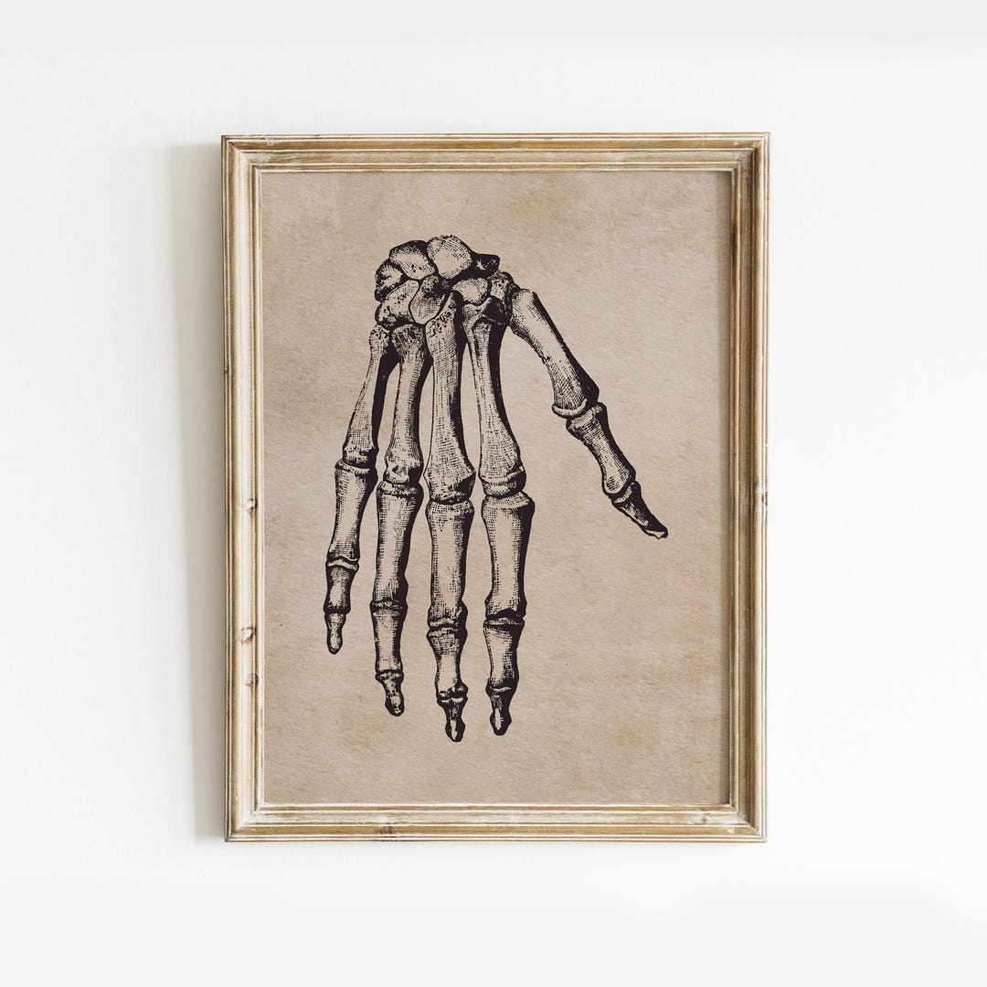 Vintage Bones Wall Art, Bone Painting, Skeleton Art Print, Medicine Art ...