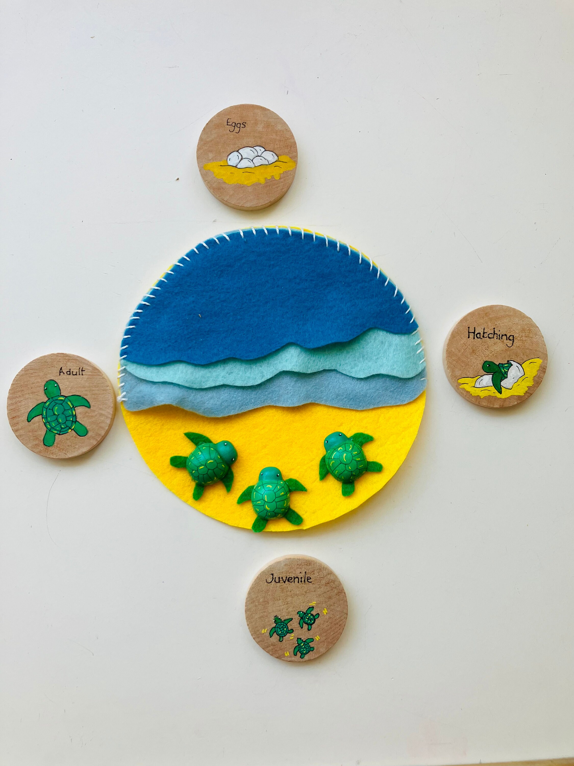 Sea Turtles Play Mat and Life Cycle - Etsy