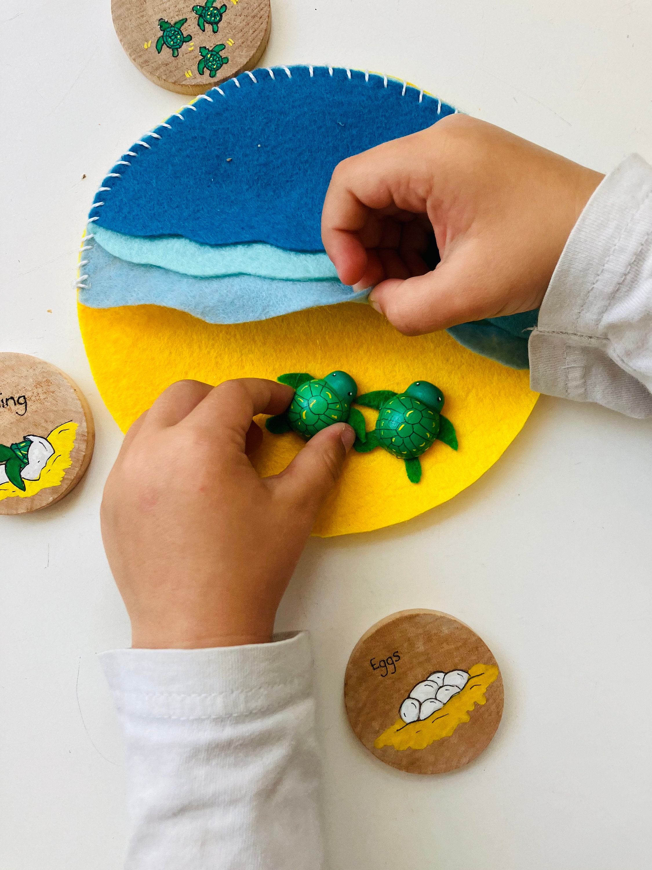 Sea Turtles Play Mat and Life Cycle - Etsy