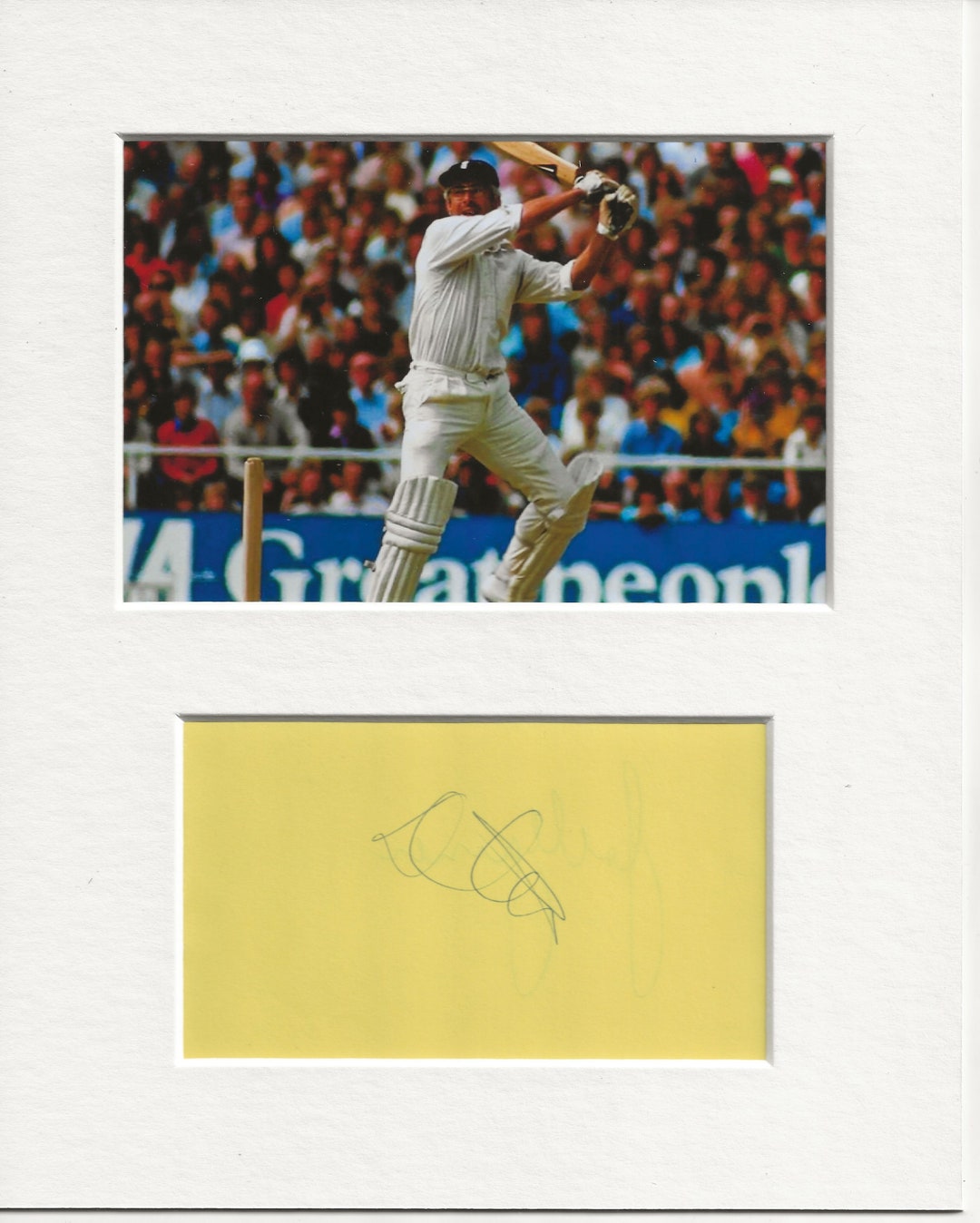 David Steele Cricket Signed Genuine Authentic Autograph Signature UACC ...