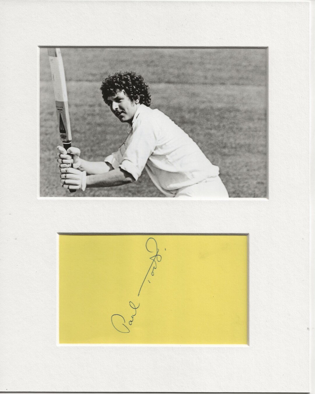 Paul Todd Cricket Signed Genuine Authentic Autograph Signature UACC RD ...