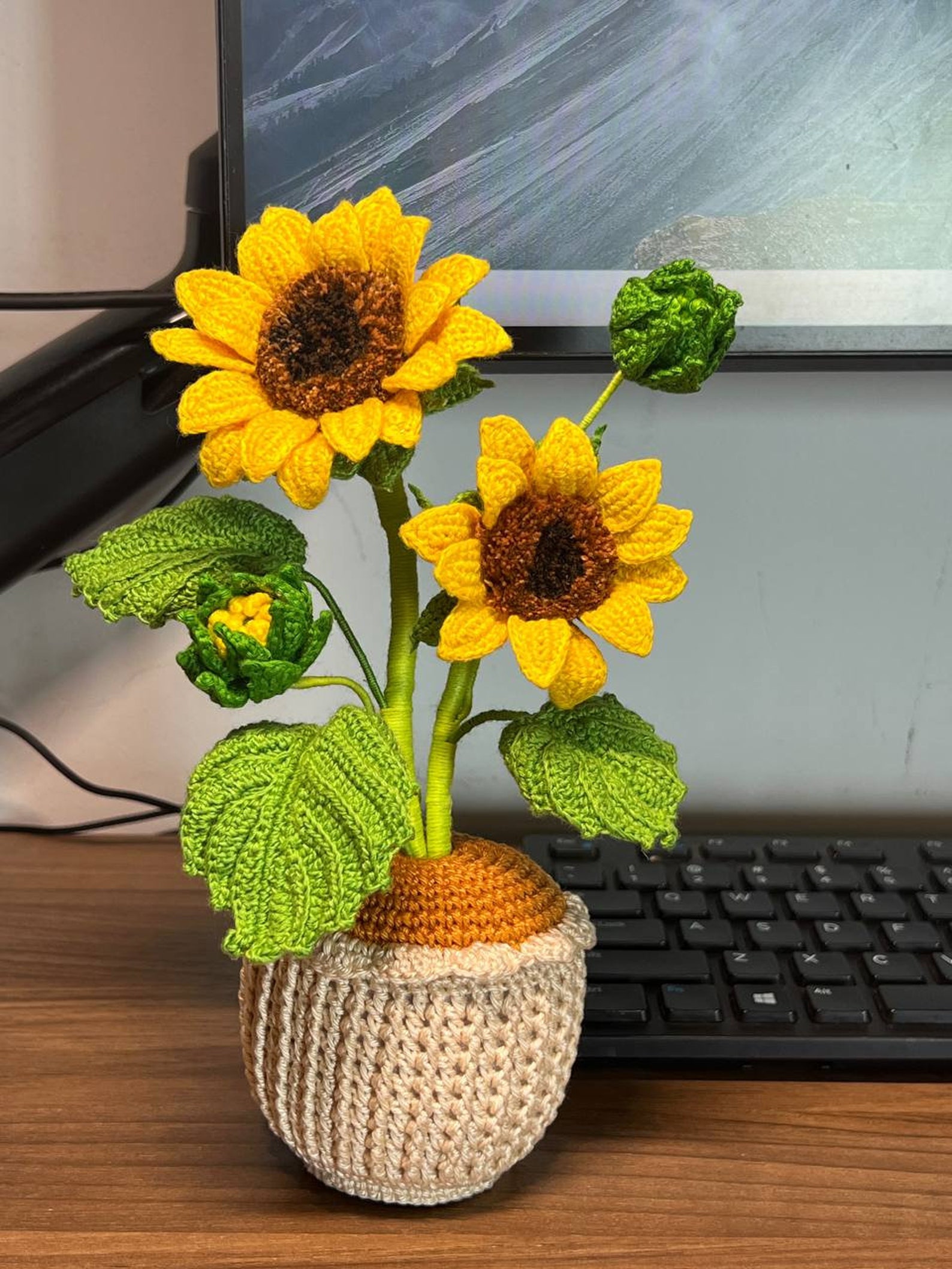 Crochet Flower in the Pot, Handmade, Personalized Gift for Her, Home ...