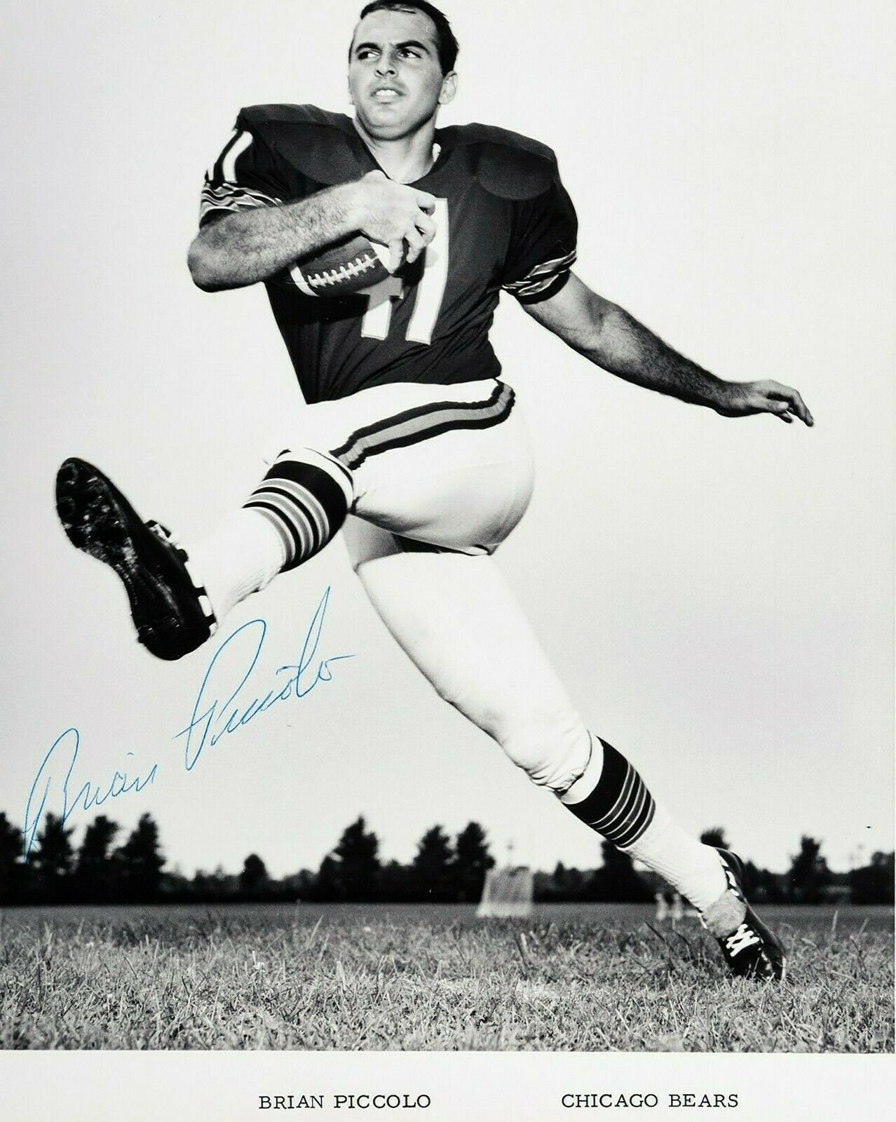 Brian Piccolo Children