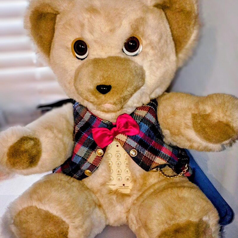 Talking Teddy Bear - Etsy UK
