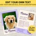 Editable Therapy Pet Trading Card Template | Custom Trading Card ...