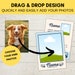 Editable Therapy Pet Trading Card Template Custom Trading Card ...