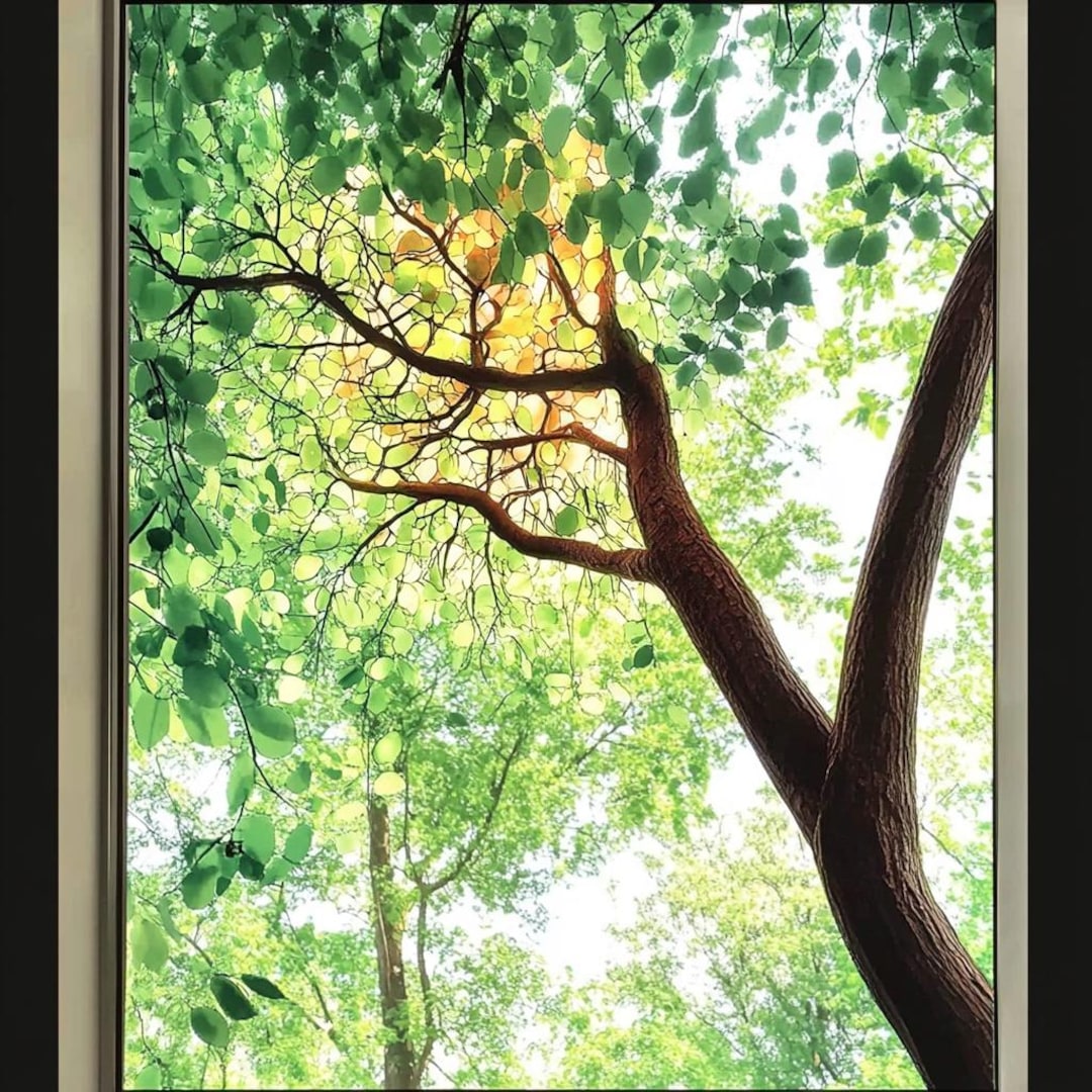 Serene Tree View Decorative Window Film: Semi-transparent Privacy Glass ...