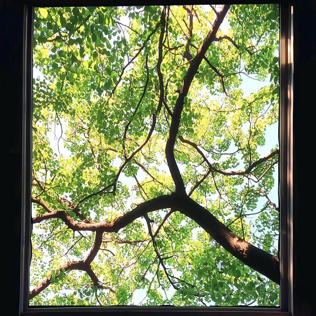 Natural Canopy Window Film - Green Leaf Design for Ceiling or Glass ...