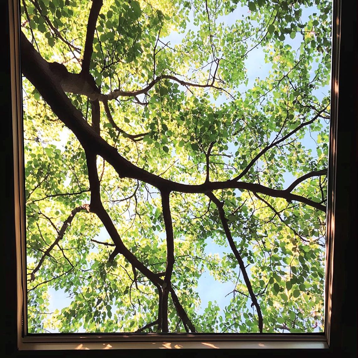 Natural Canopy Window Film - Green Leaf Design for Ceiling or Glass ...