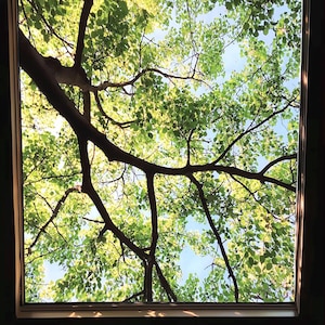 Natural Canopy Window Film - Green Leaf Design for Ceiling or Glass ...
