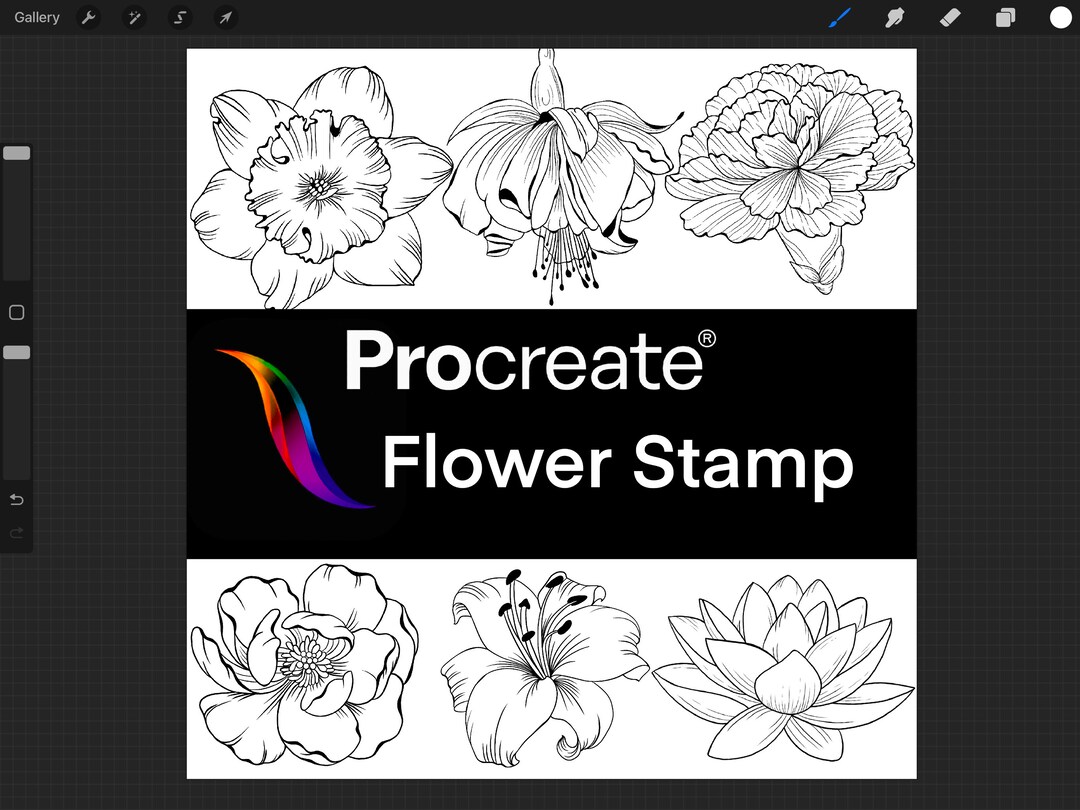 Flower Stamp, Procreate Flower Stamps, Flower Line Art, Procreate ...