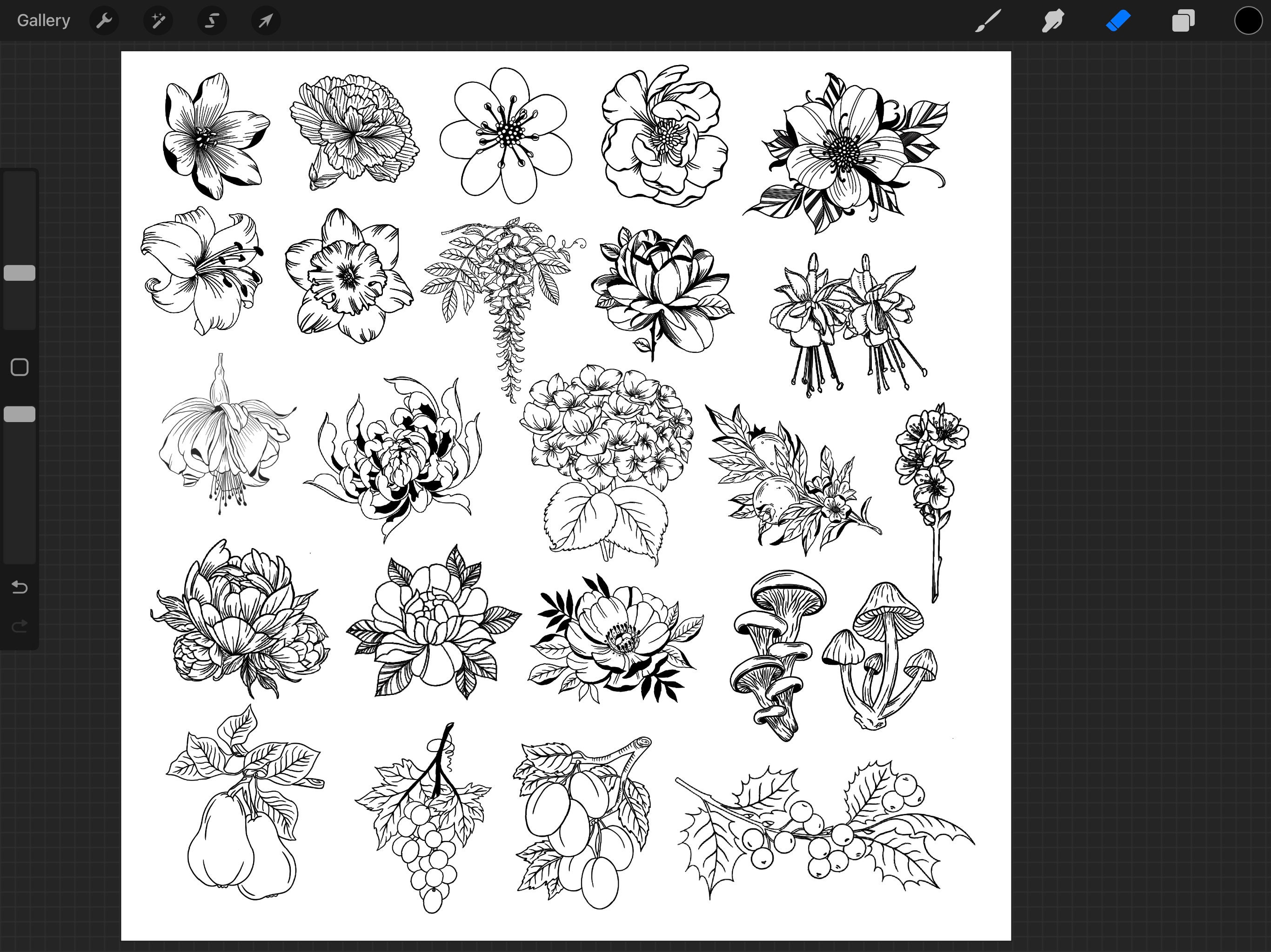 Flower Stamp, Procreate Flower Stamps, Flower Line Art, Procreate ...
