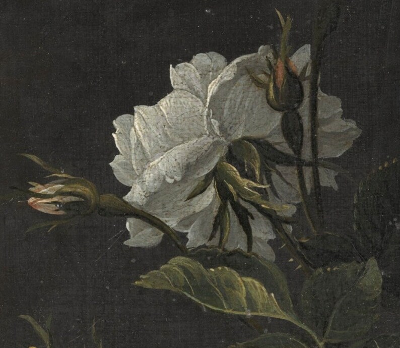 Vintage White Rose Oil Painting Rustic Botanical Wall Art - Etsy