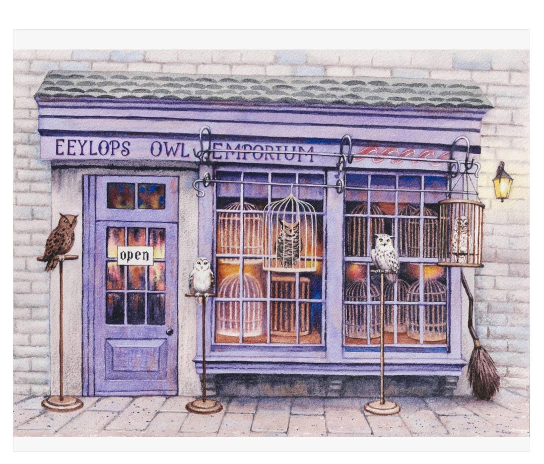 Eeylops Owl Emporium, Owl Shop - Hand Painted Watercolor Print - Etsy