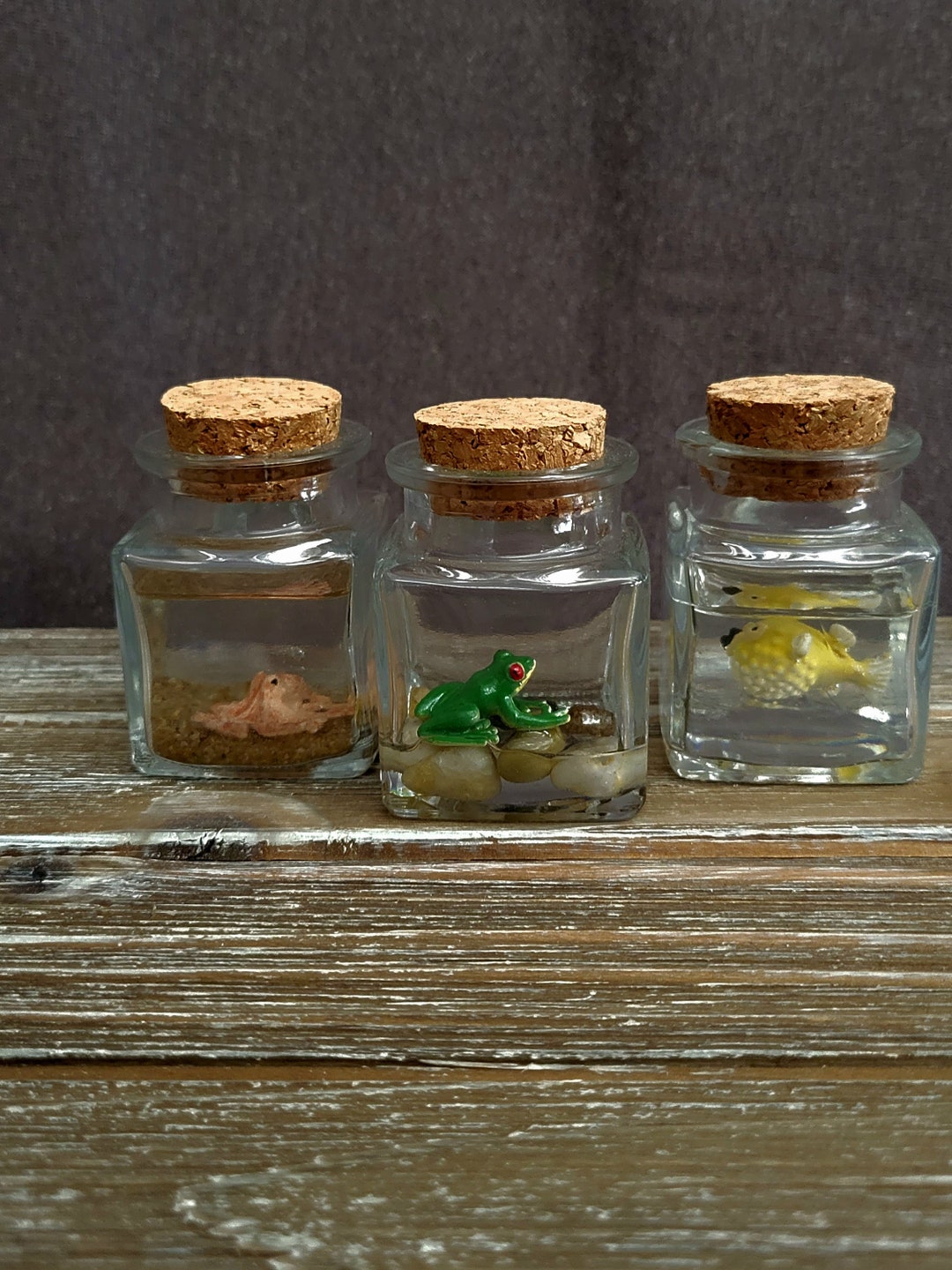 Animal Jars - Etsy