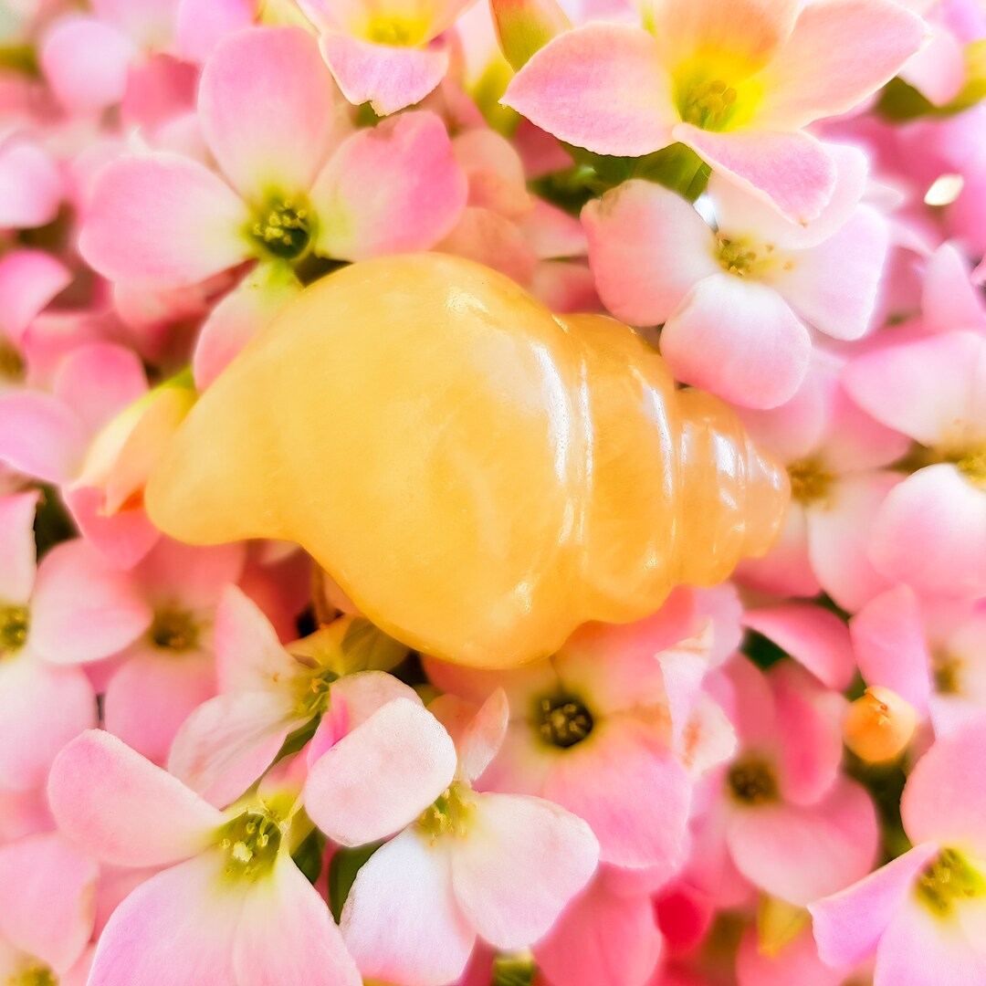 Yellow Calcite Conch Shell, Natural Gemstone Seashell, Yellow Crystal ...
