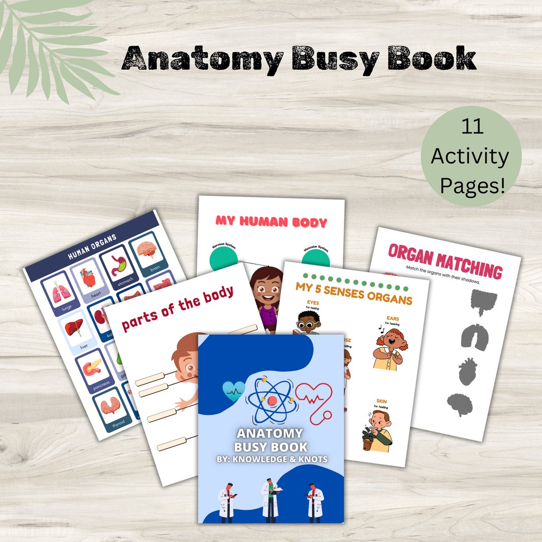 Anatomy Busy Book Prek Busy Book Kindergarten Busy Book Kids Busy Book ...