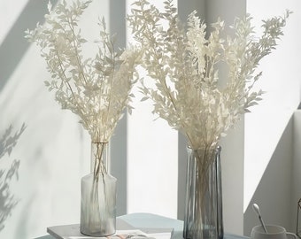 Italian Ruscus Dried - Etsy