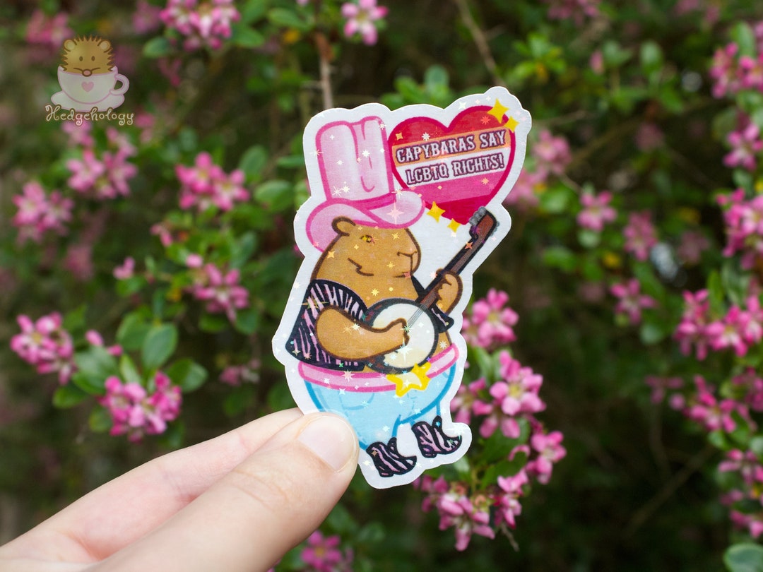 Lesbian Pride Sticker Capybara Sticker Lesbian Flag Lesbian - Etsy