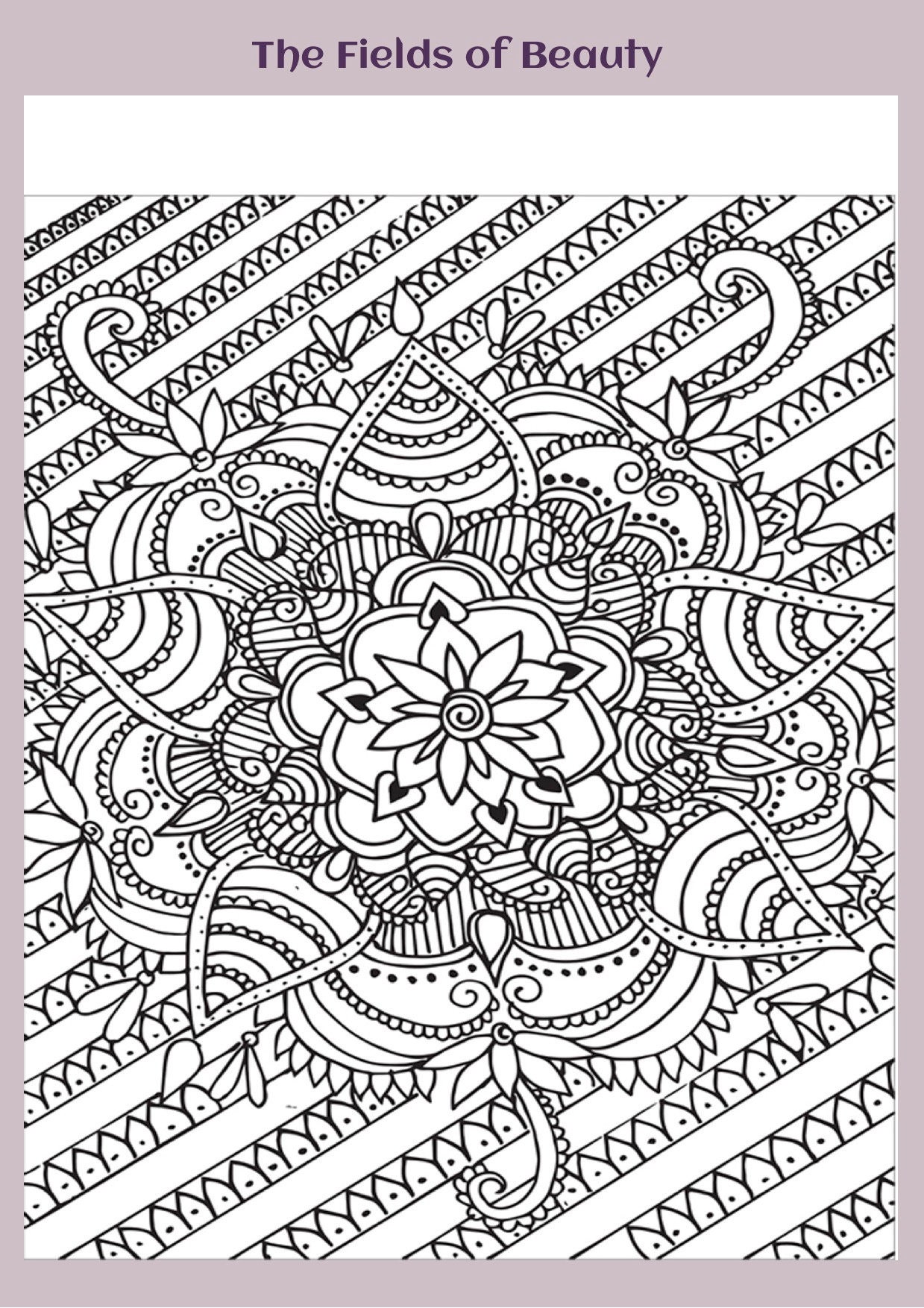 5 X Intricate Colouring Pages for Hours of Focussed Colouring - Etsy