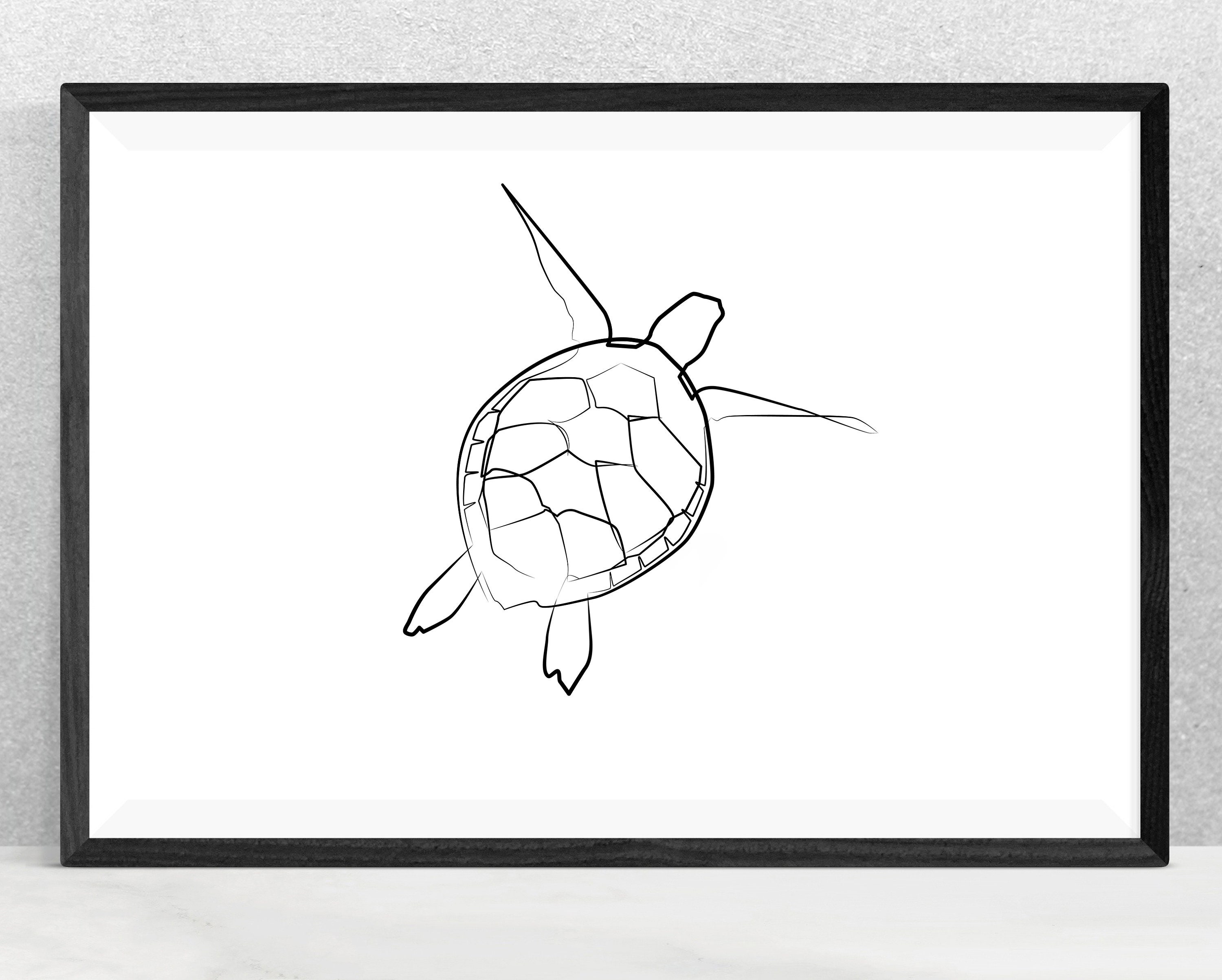 Turtle Outline Drawing