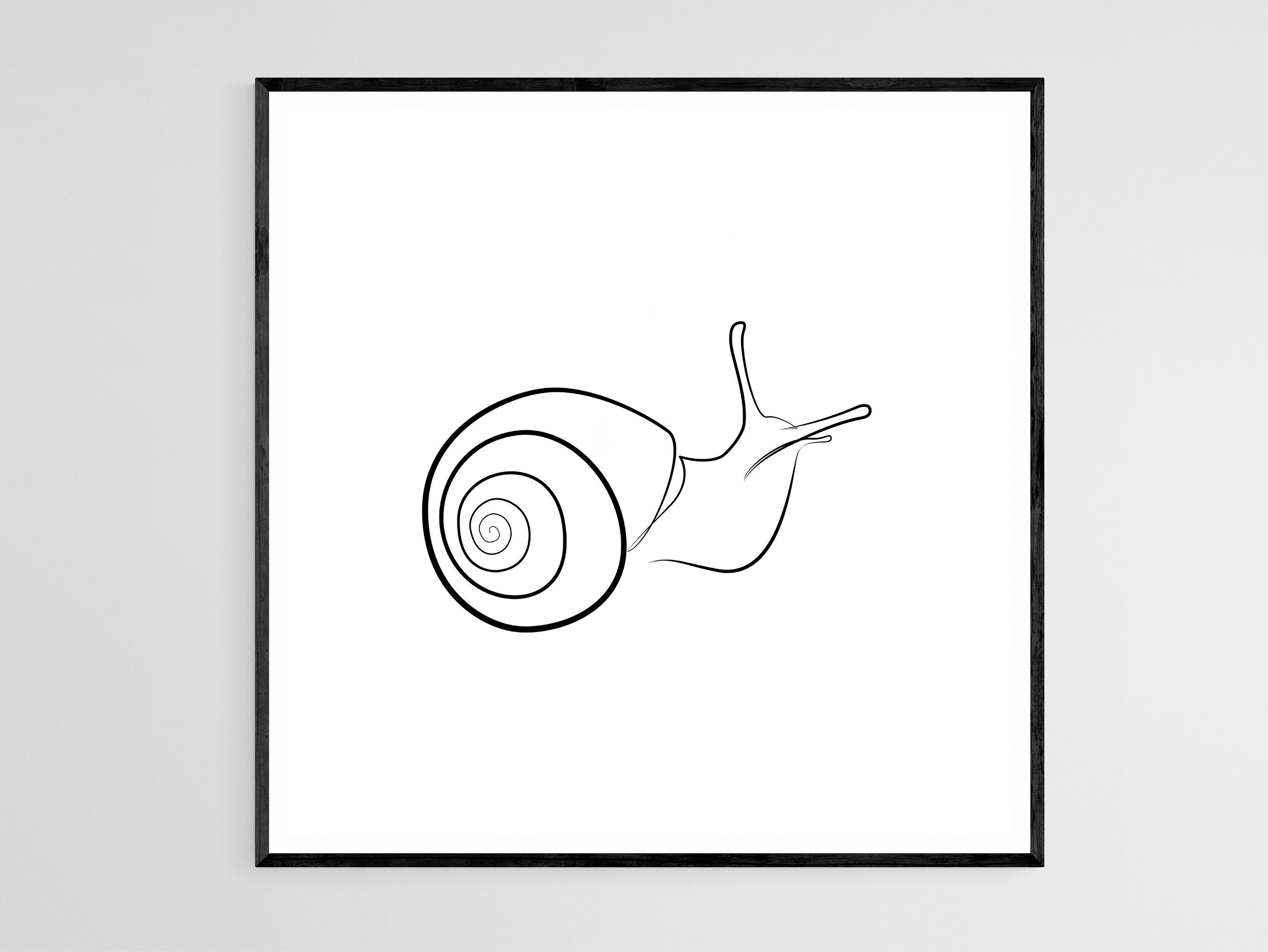 Snail Line Drawing