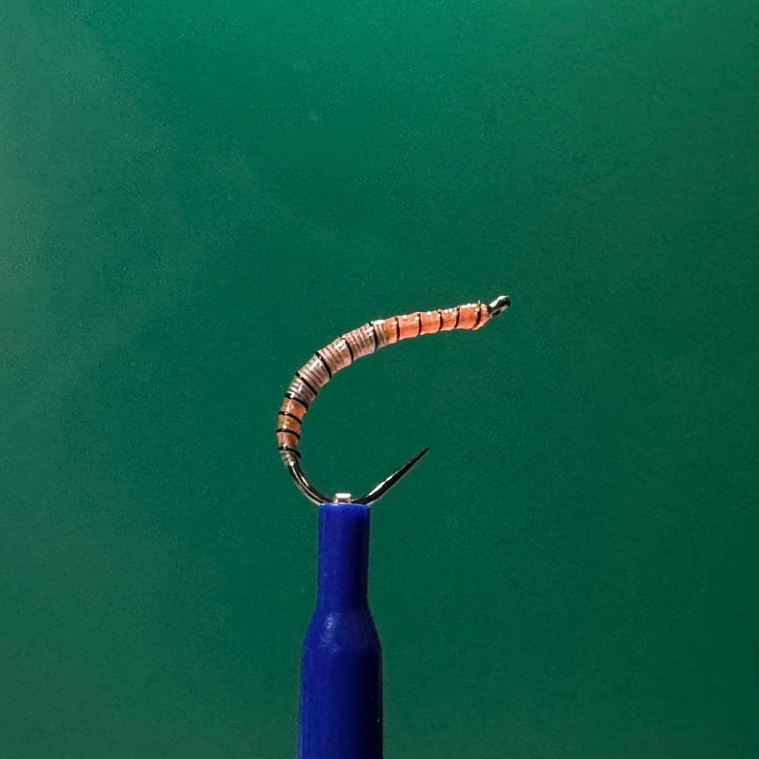 Pig Sticker! Yucky but Trout Love 'em. Fast Sinking Worm. Durable. Fly ...
