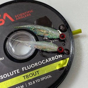 Micro Minnow - Big Eye! Awesome Baitfish Attractor! One of the Best Fly ...