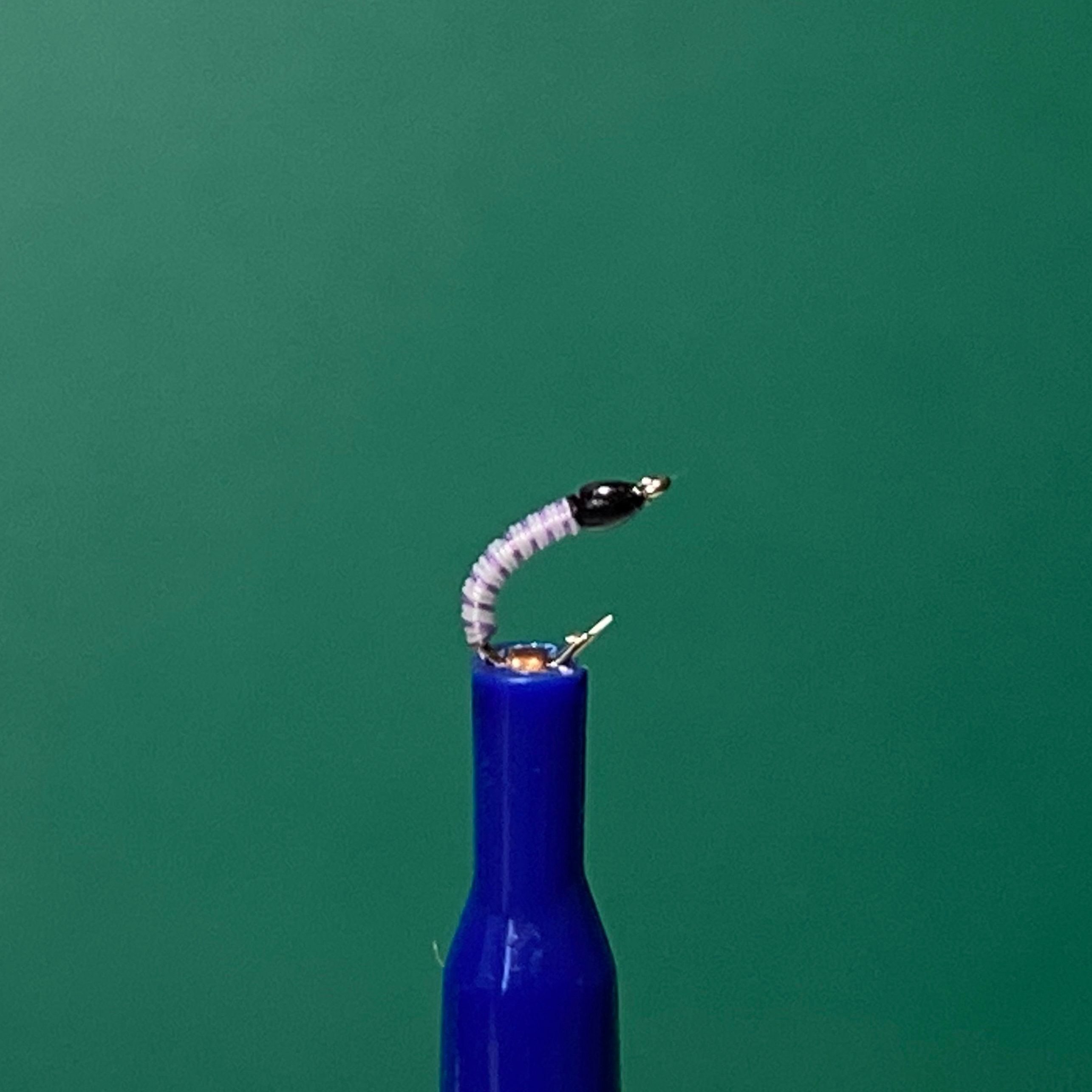 Colorado Midge Larva. Perfect Representation of the Prolific Midge ...